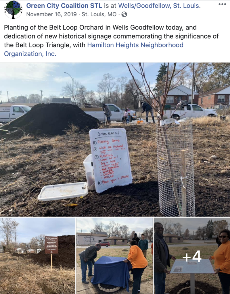 The Benefits of Green Spaces for Community Health (And Creating More of ...