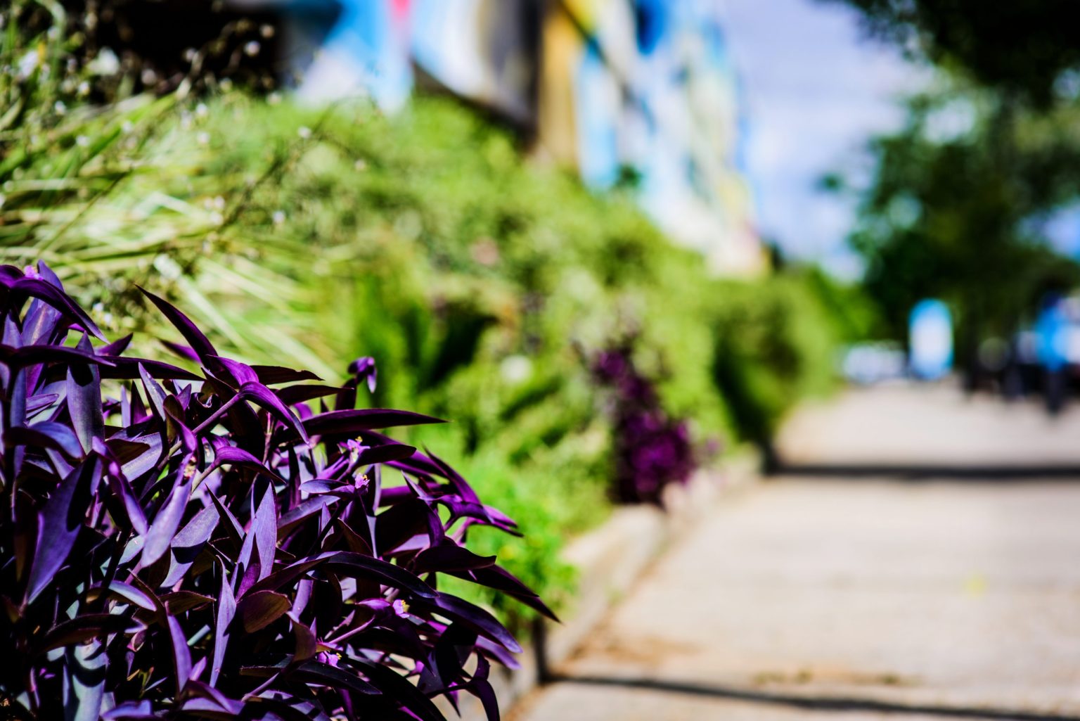 How to Maintain Your Commercial Landscape Architecture - Landscape ...