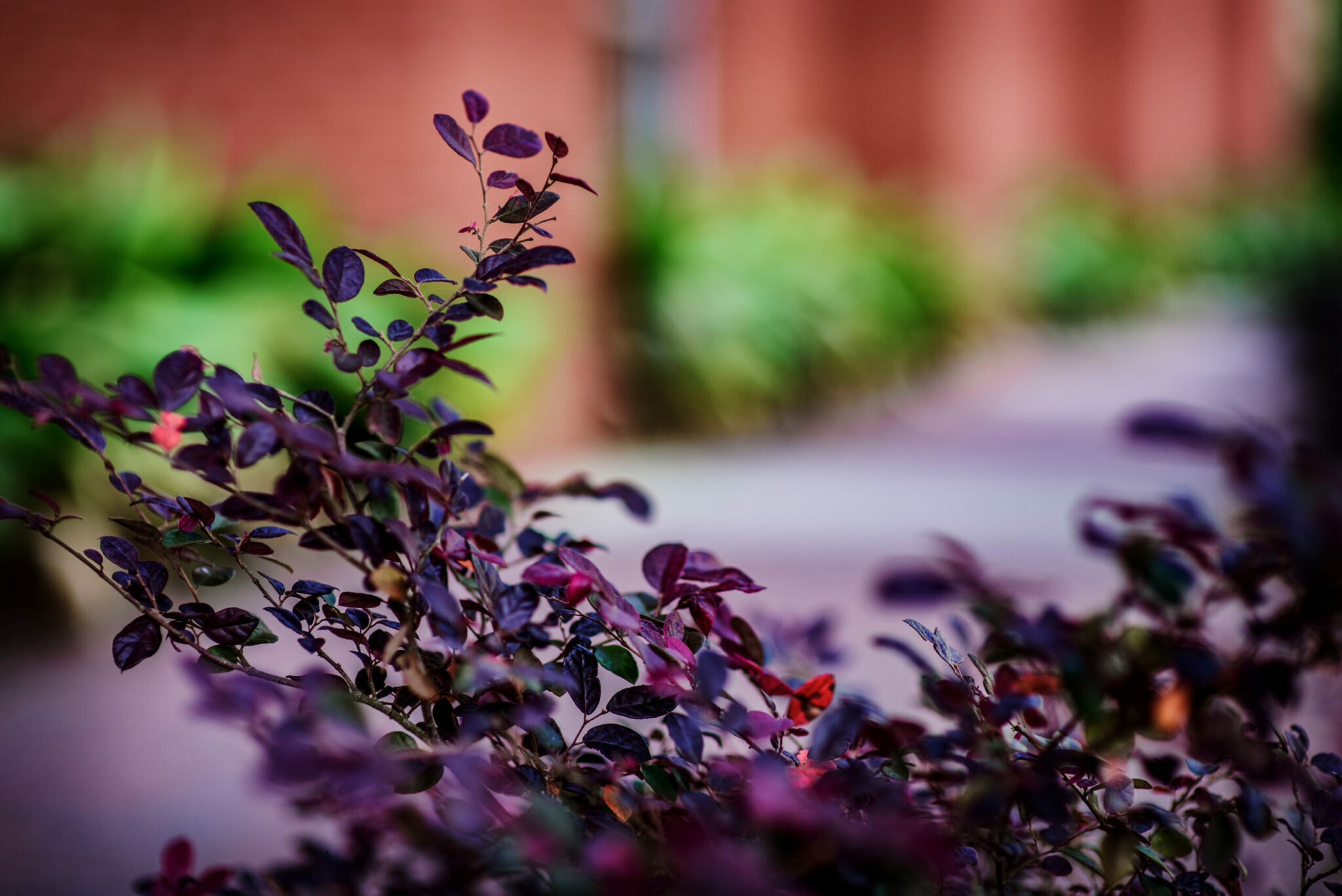 Evaluate and Enhance Your Landscape Architecture in 2024 - Landscape ...